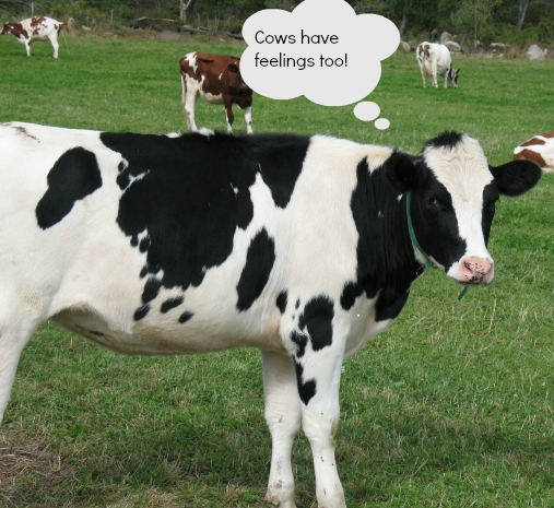 Get Udderly Smooth for Fall with a Prize Pack that will Moove You! - # ...